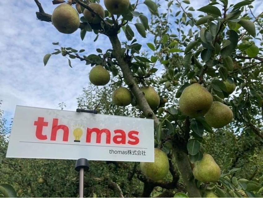 【tkk File15】農園支援プロジェクト 〜キッカケ編〜 - thomas株式会社