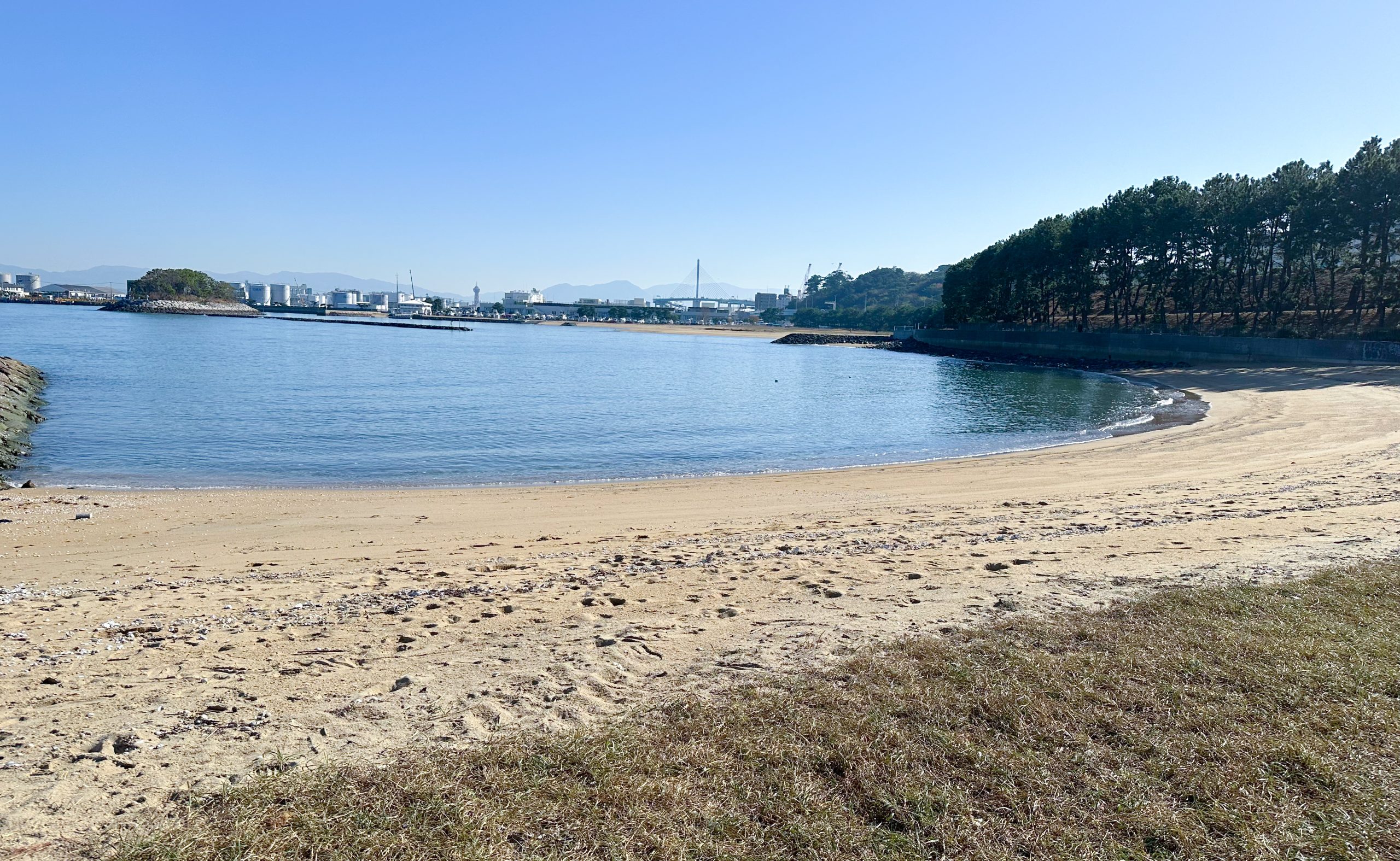 【tkk】福岡支店で第2回tkkクリーン活動を行いました - thomas株式会社