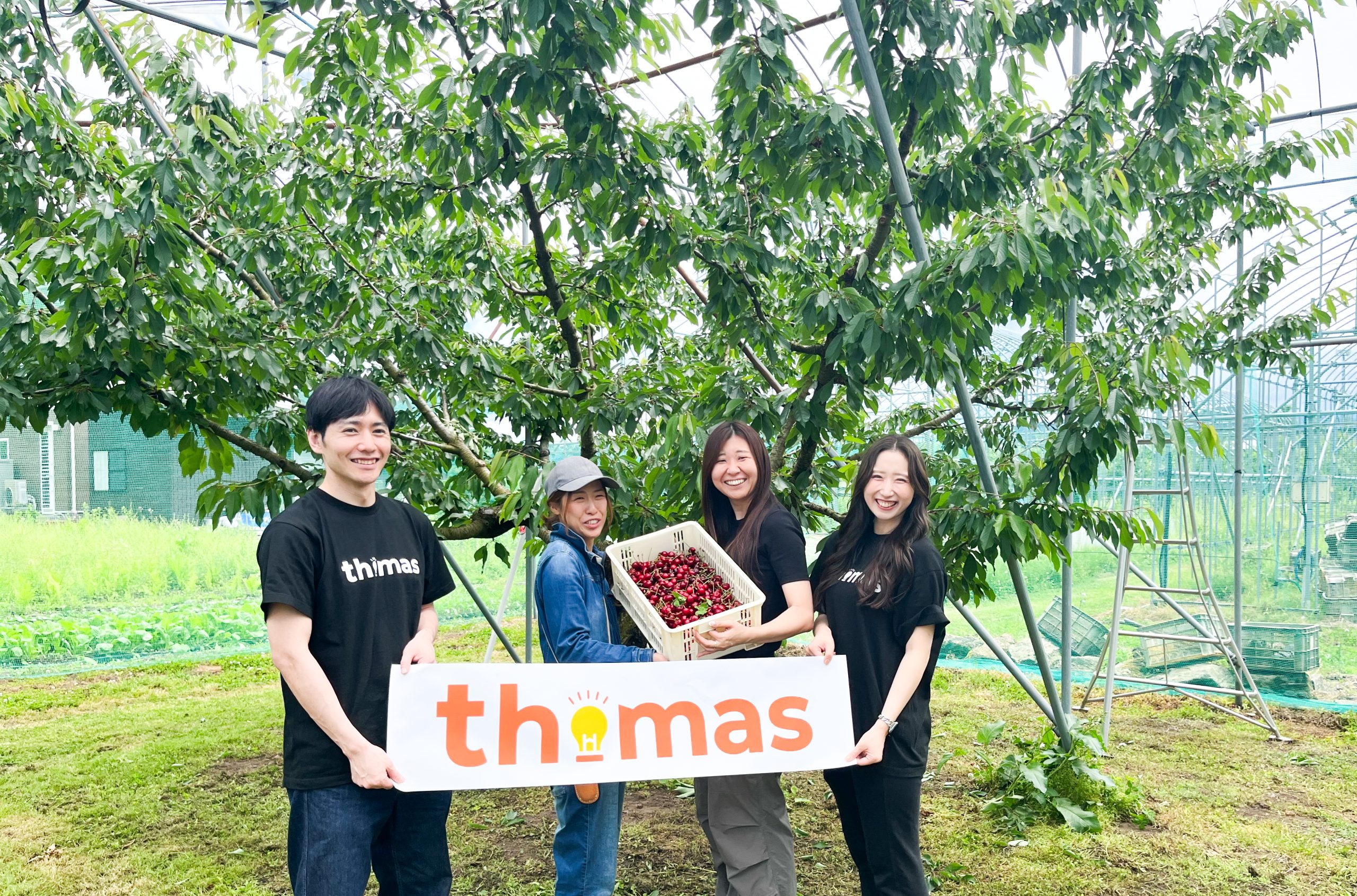 【tkk農園プロジェクト】 2024年新プロジェクト始動！さくらんぼ収穫体験に社員で山形に行ってきました - thomas株式会社